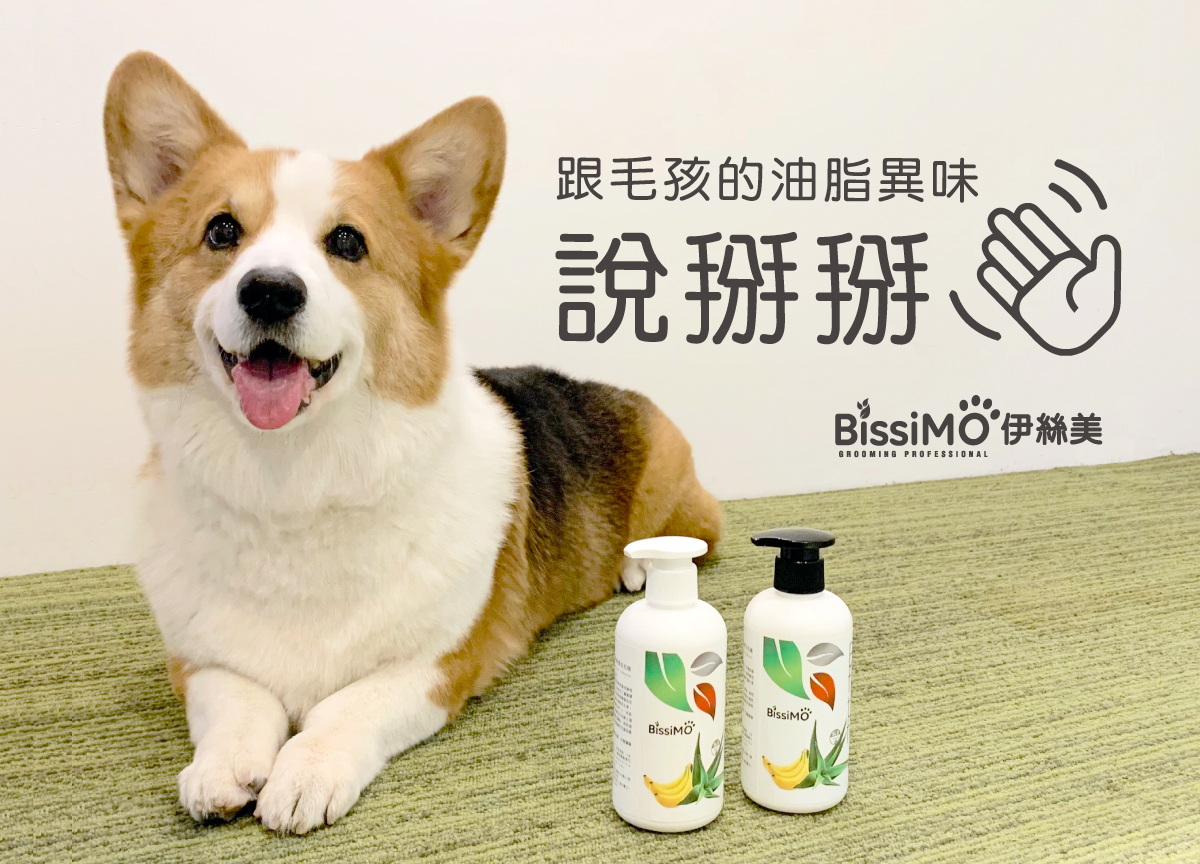 嘖嘖 | BissiMO 伊絲美 | 寵物皮毛護理的絕對專家 由內而外啟動全面性的皮毛調理機制
