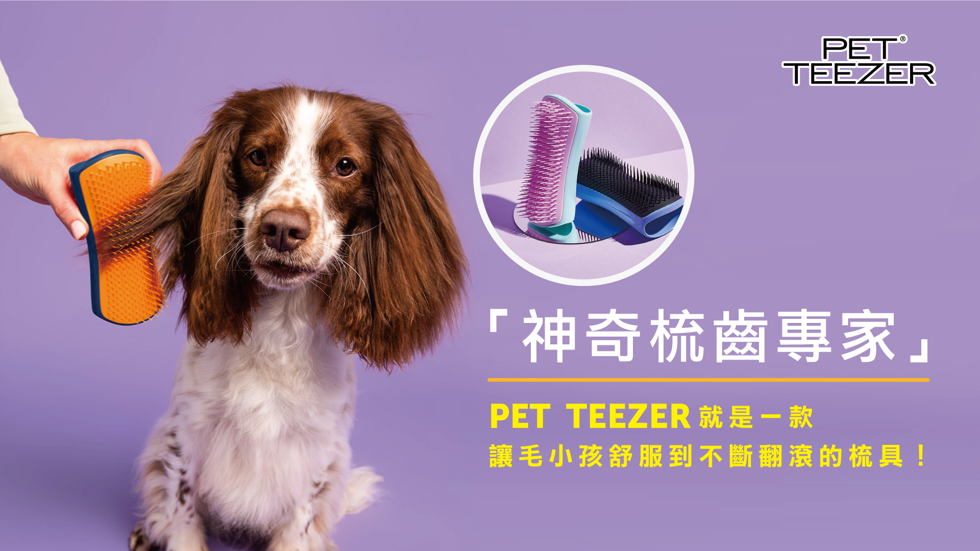 嘖嘖 | PET TEEZER 毛孩寵物梳 | 梳服到翻滾！